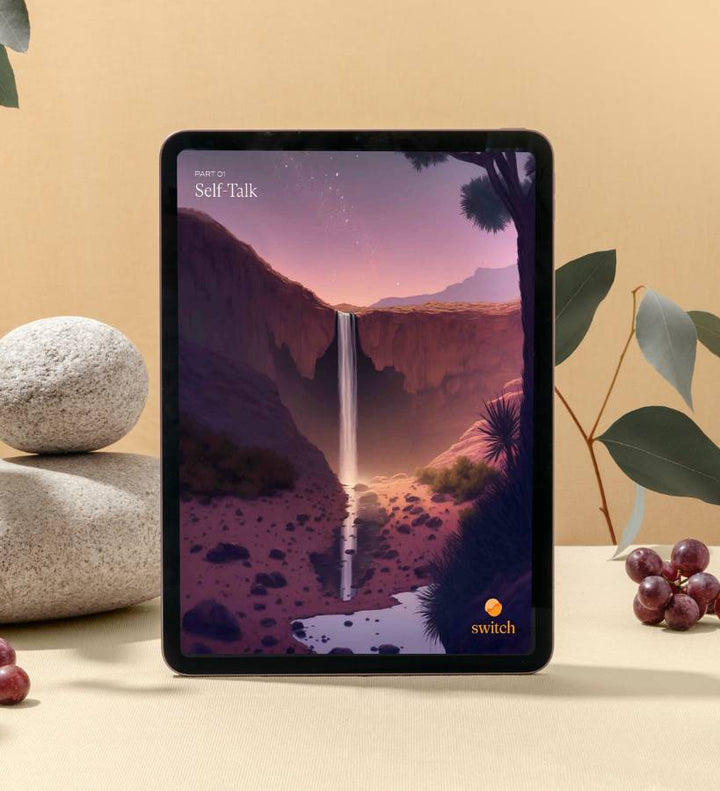 Journals - See The Full Collection Today – Switch Research